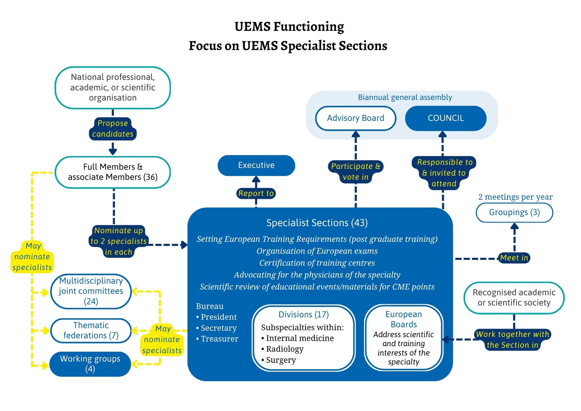 Our structure | uems.eu
